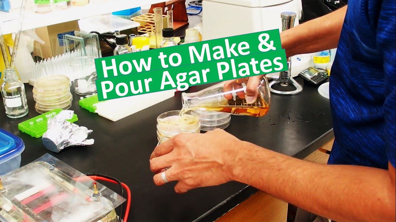 How do you make pound agar solution?