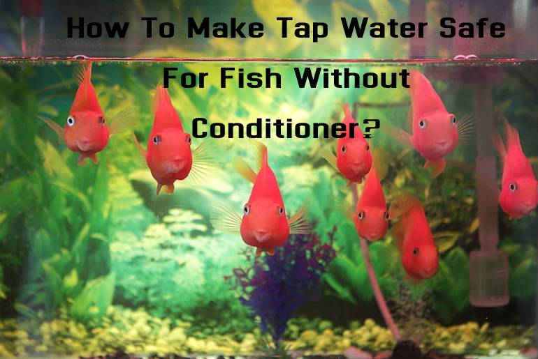 How do you make tap water safe for fish naturally?