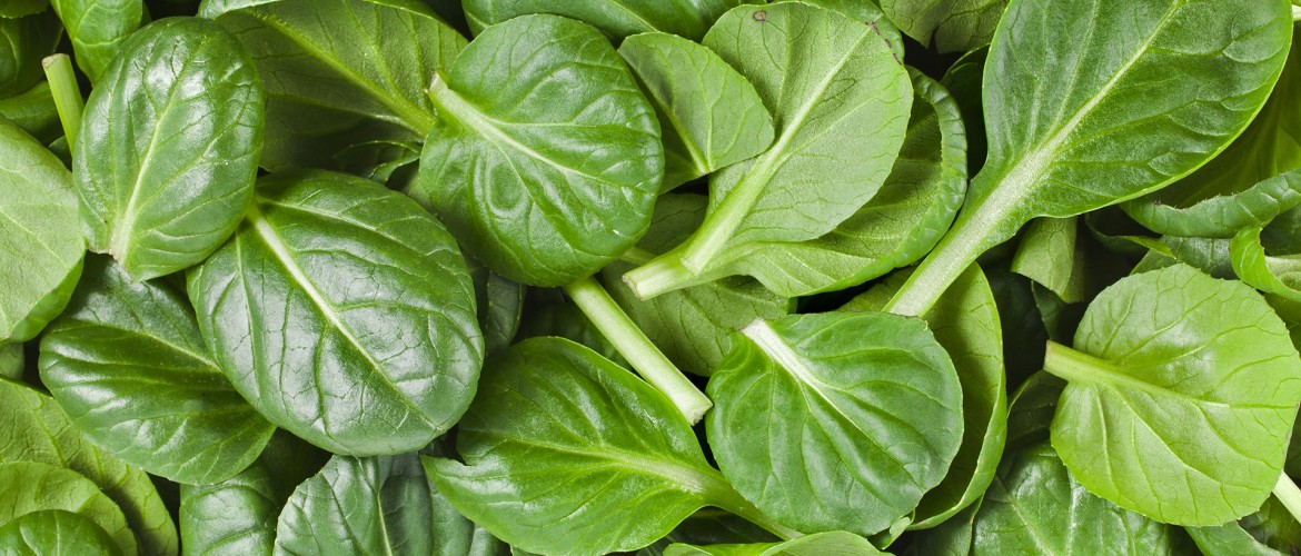 How do you measure oxalate in spinach?