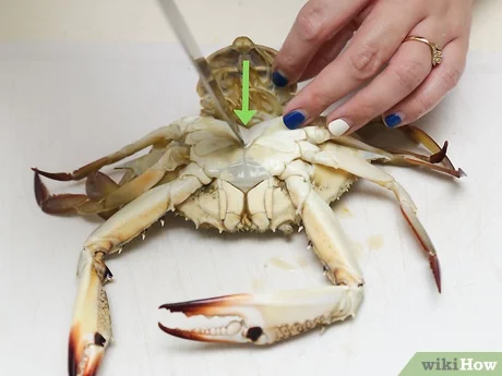 How do you numb crabs?