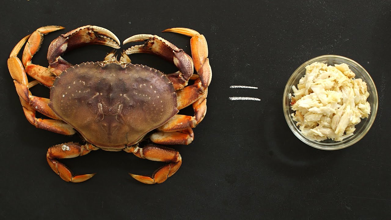 How do you open a dungeness crab shell?