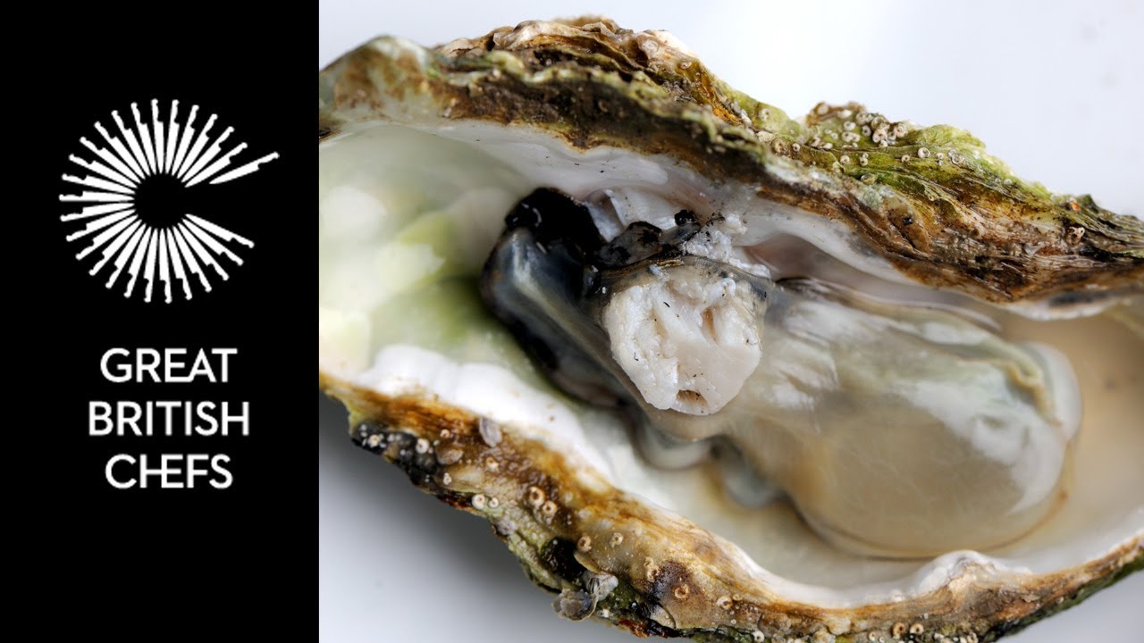 How do you open a shelled oyster?