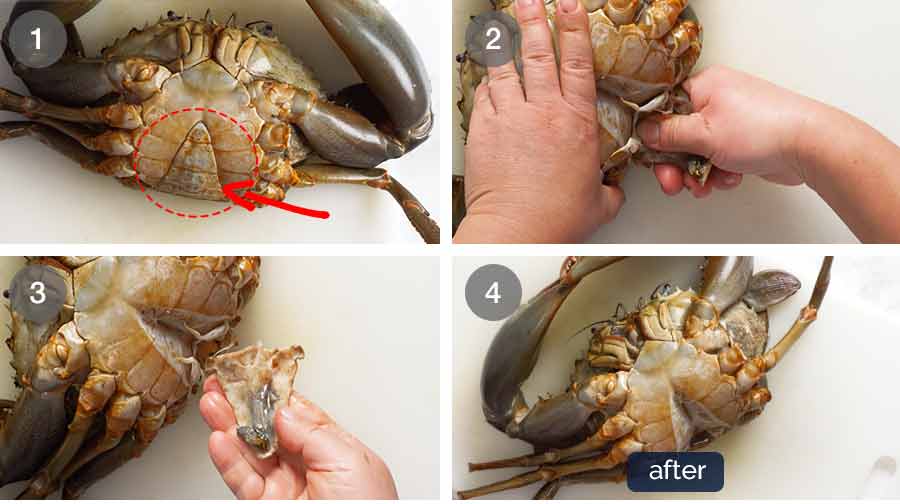 How do you open a whole crab?