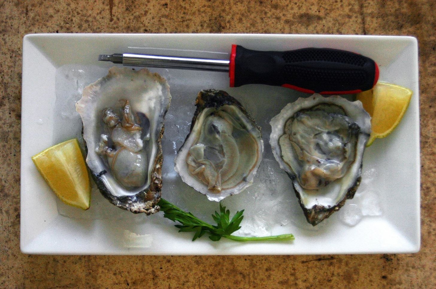 How do you open oysters if you don't have an oyster knife?