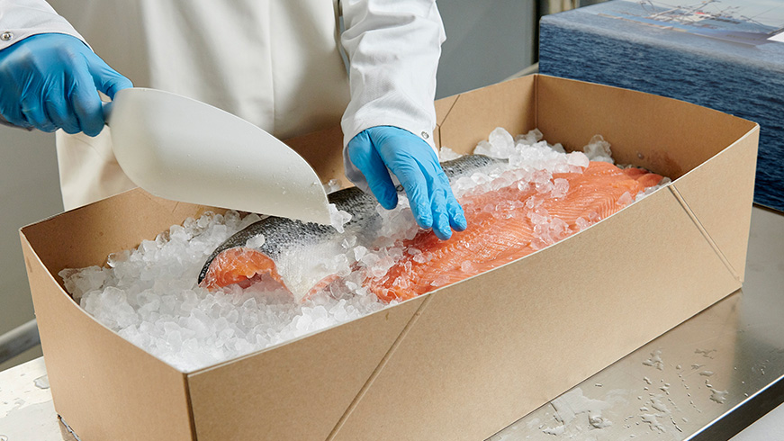 How do you pack fish for shipping?