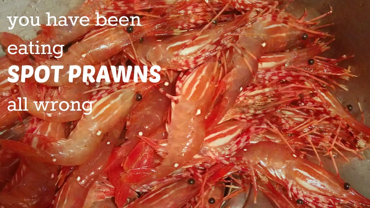 How do you peel spot prawns?
