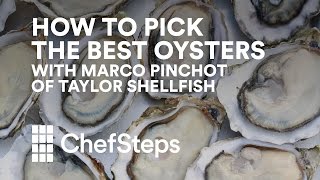 How do you pick a good oyster?