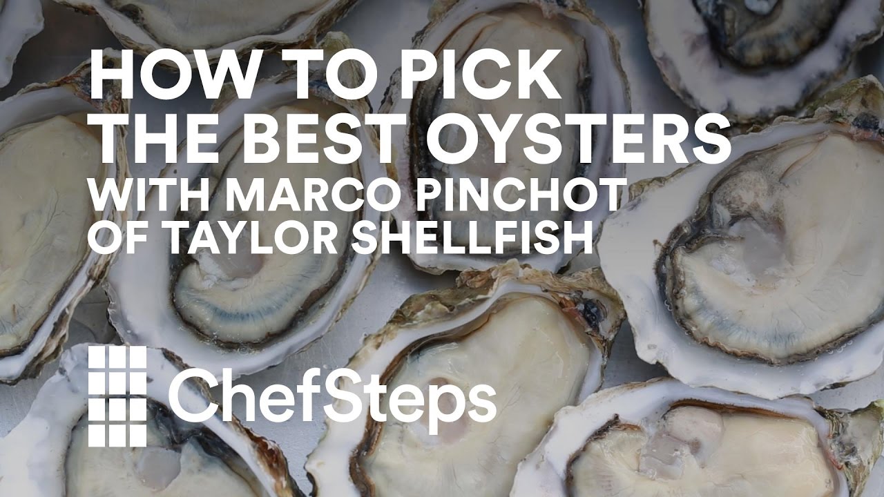 How do you pick good oysters?