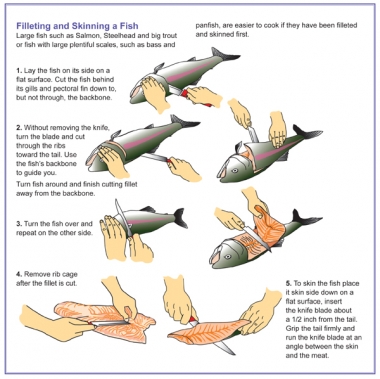 How do you prepare a fish after catching it?