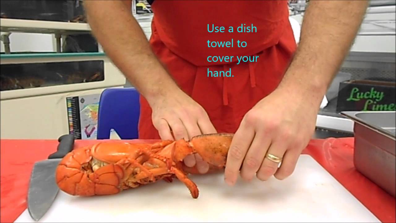 How do you prepare a live lobster for cooking?