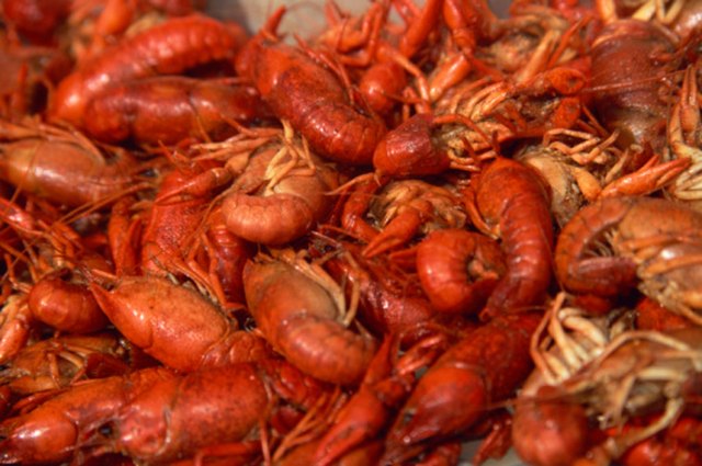 How do you prepare crawfish to freeze?