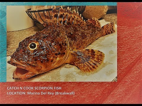 How do you prepare scorpion fish?