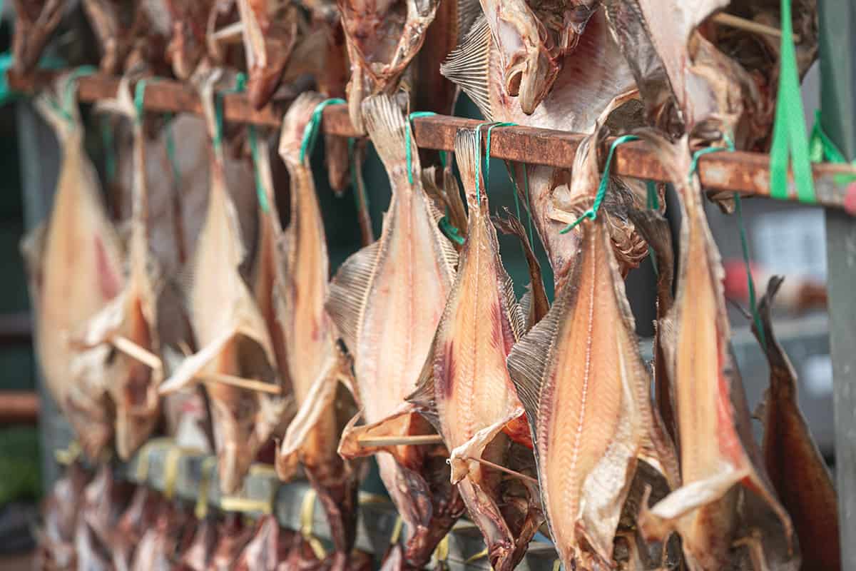 How do you preserve dried fish?