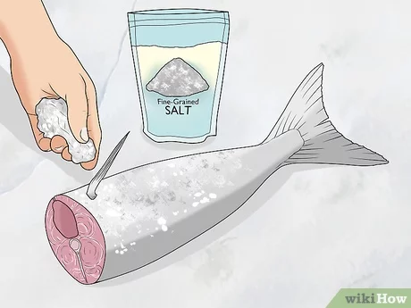 How do you preserve fish before cooking?