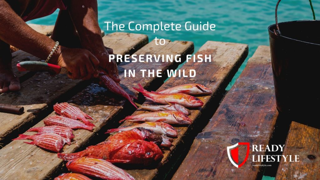 How do you preserve fish in a survival situation?