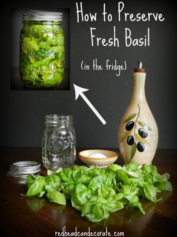 How do you preserve fresh basil?