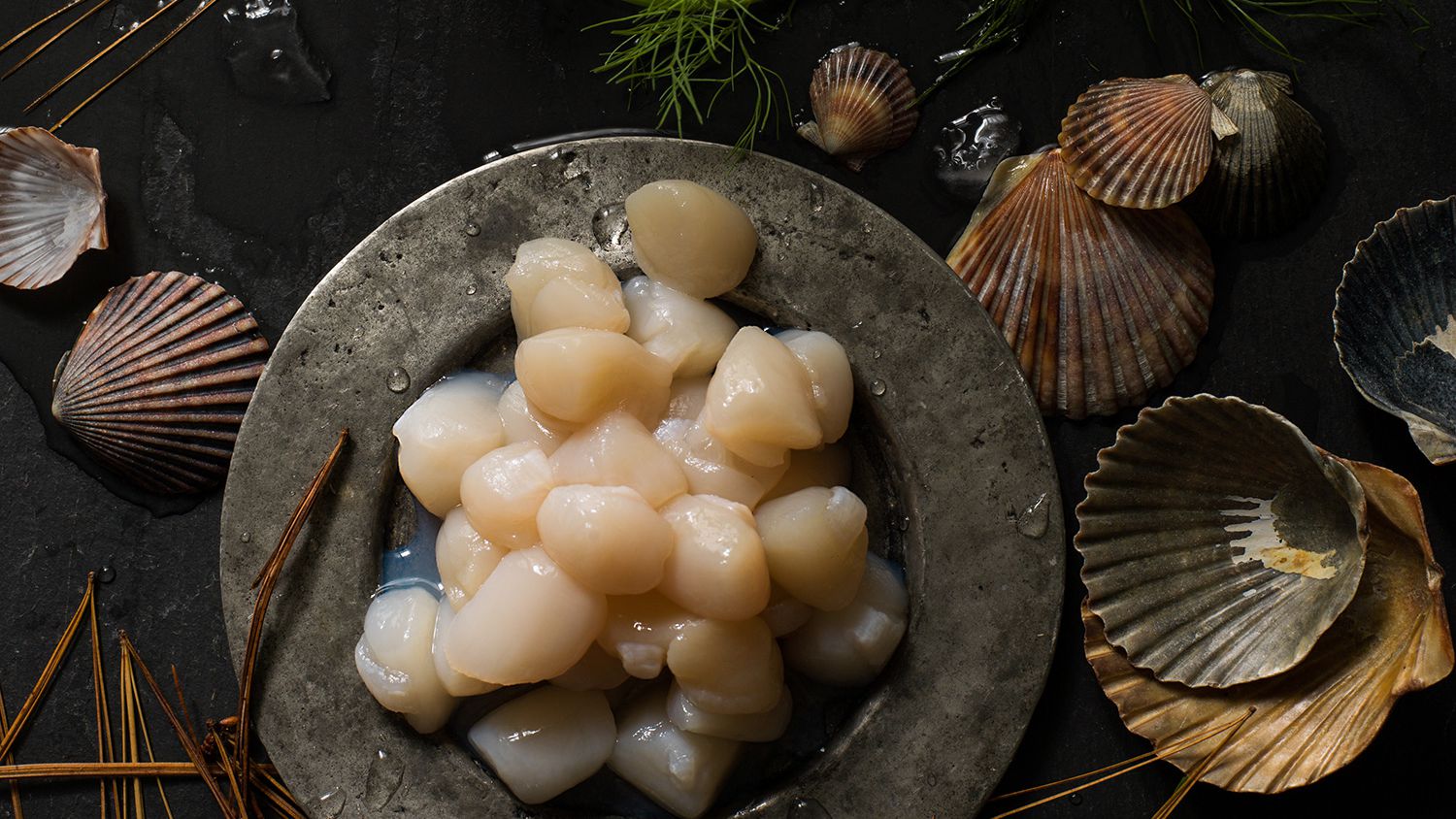 How do you preserve fresh scallops?