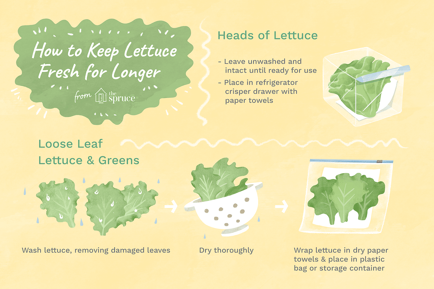 How do you preserve leaf lettuce?