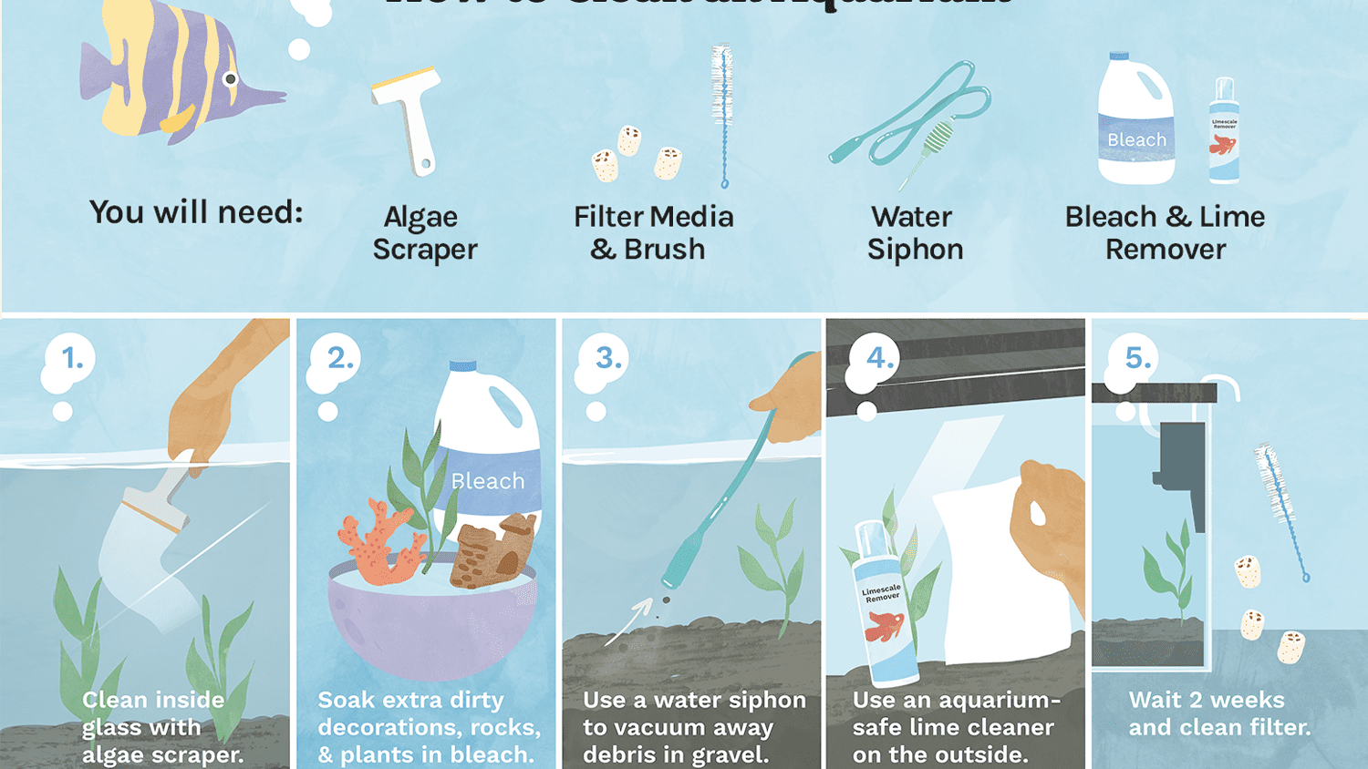 How do you properly clean a fish?