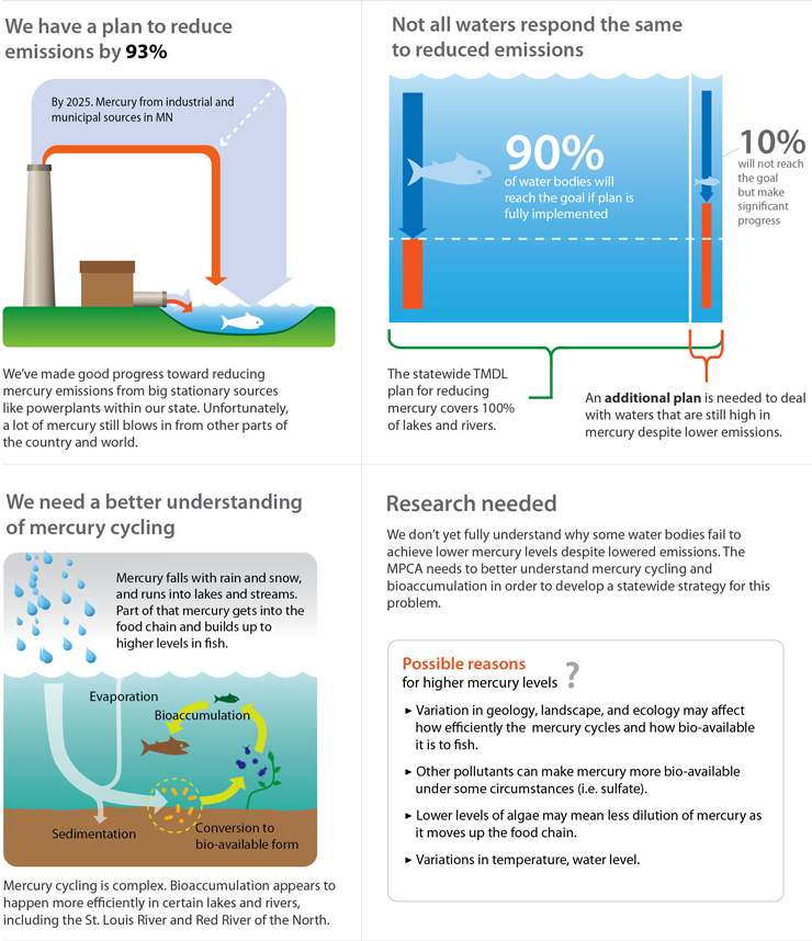 How do you reduce mercury levels in fish?