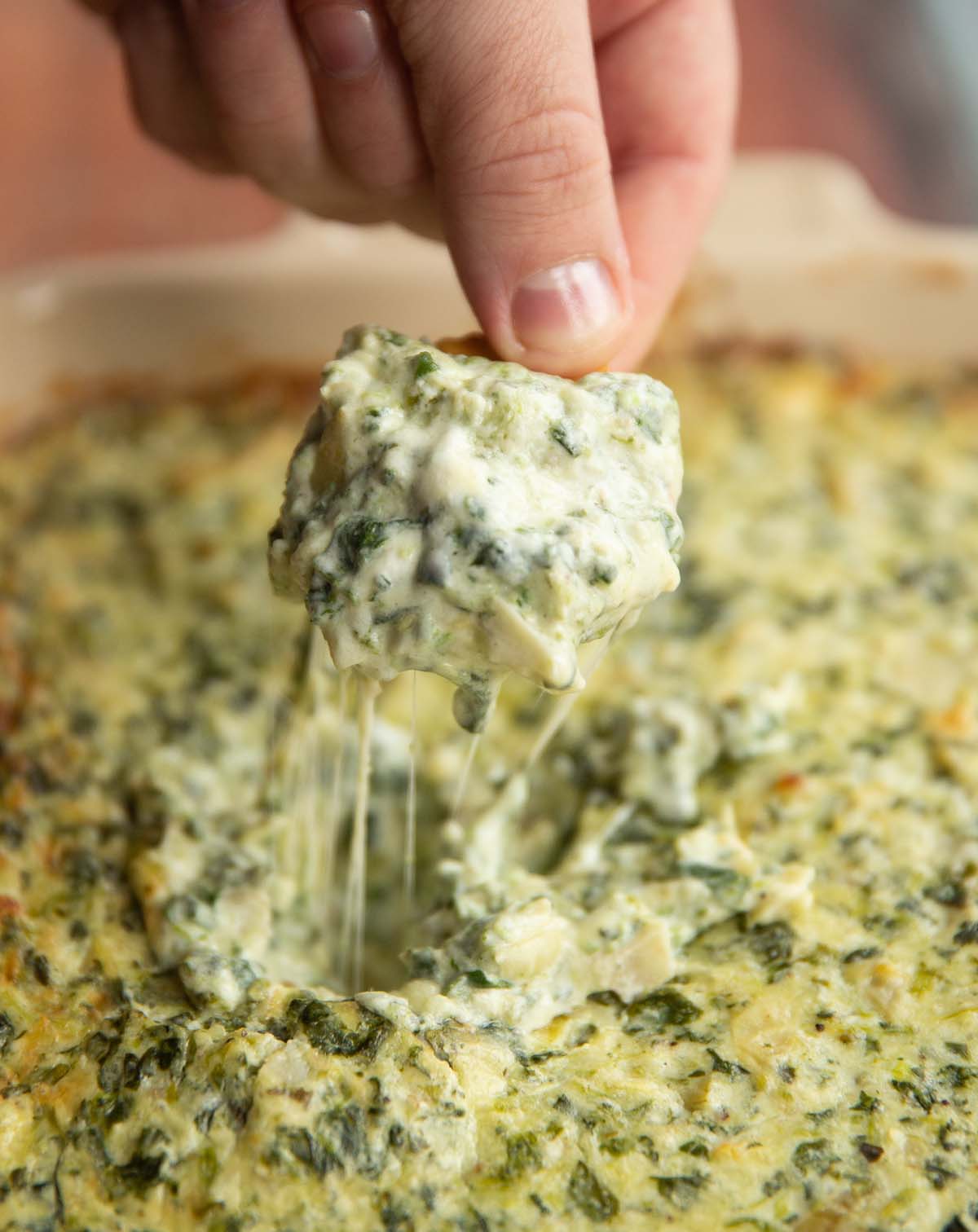 How do you reheat artichoke dip in the oven?