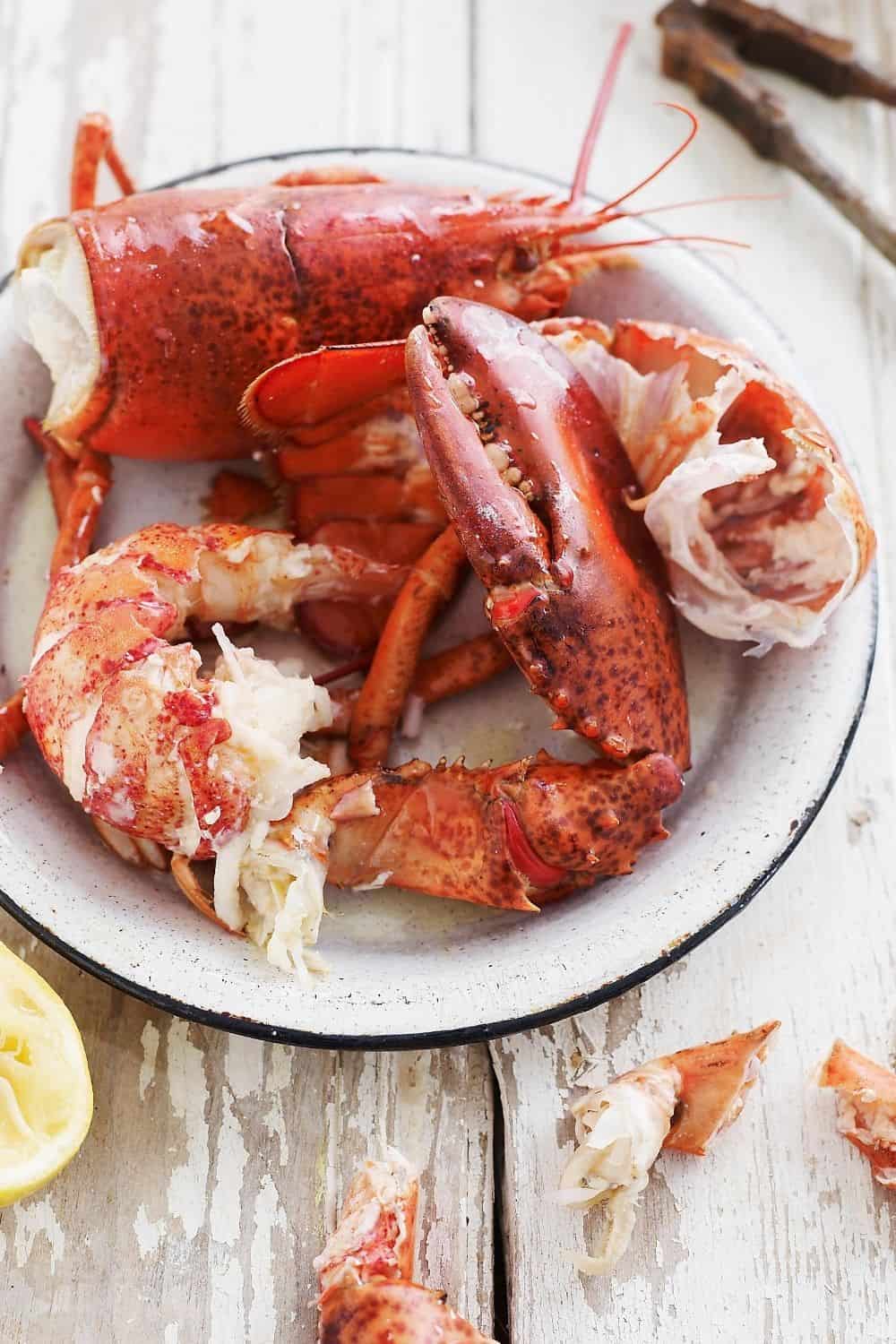 How do you reheat blanched lobster?