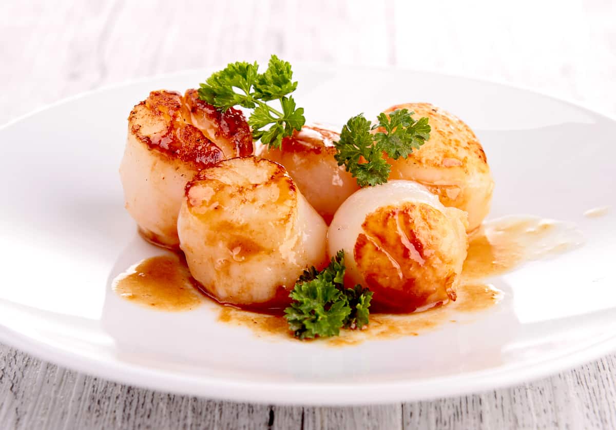 How do you reheat cooked scallops?