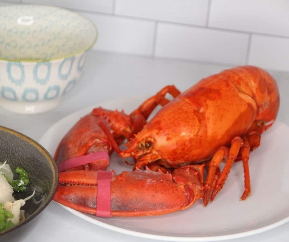 How do you reheat lobster in an air fryer?