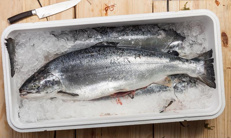 How do you remove ice from fish?
