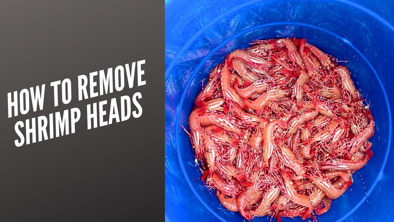 How do you remove the head from a spot prawn?