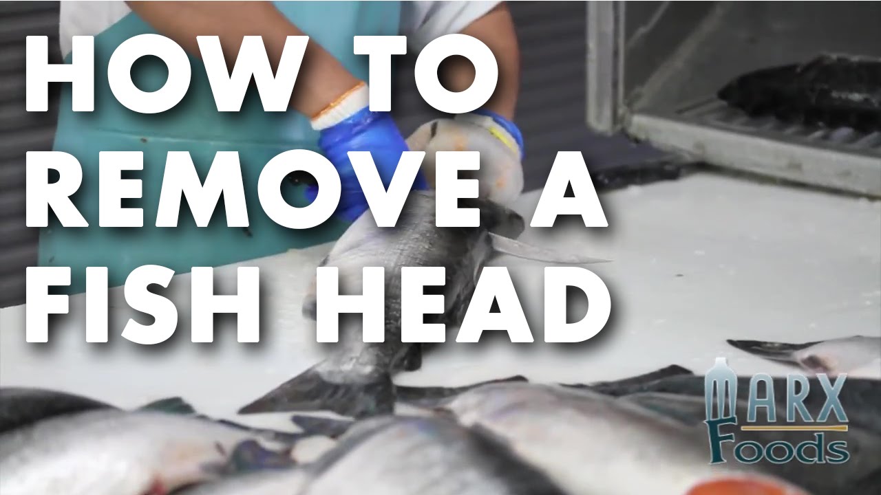 How do you remove the head of a fish?