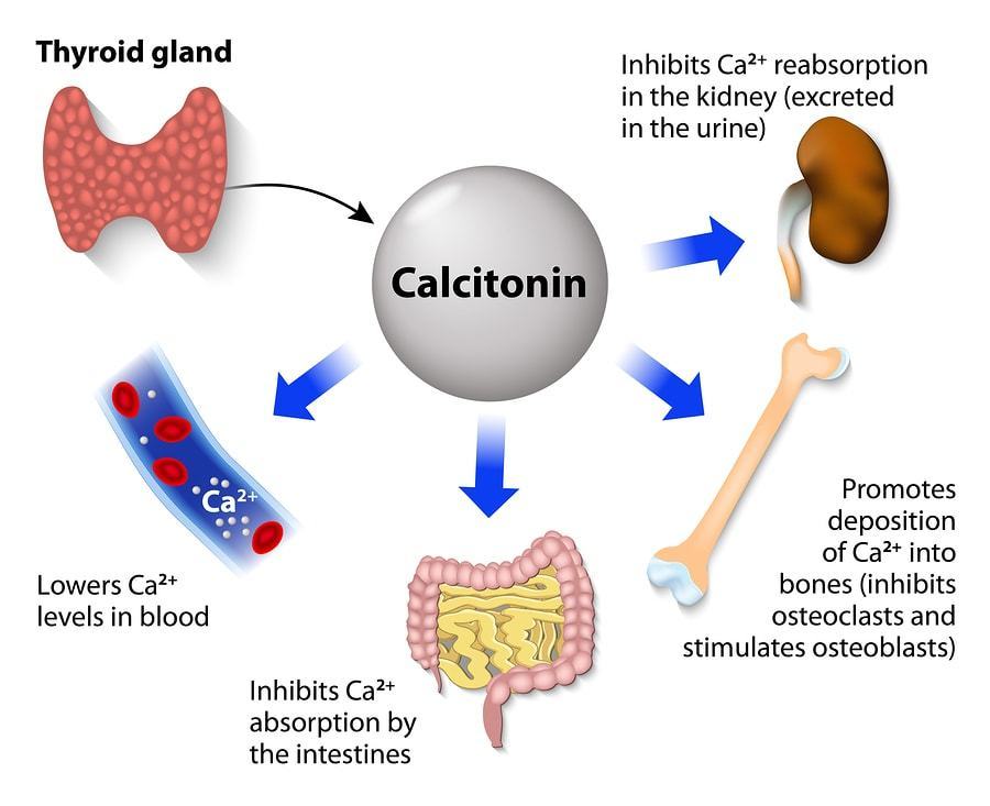 How do you restore calcium levels?