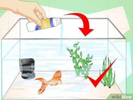 How do you revive a fish on its side?