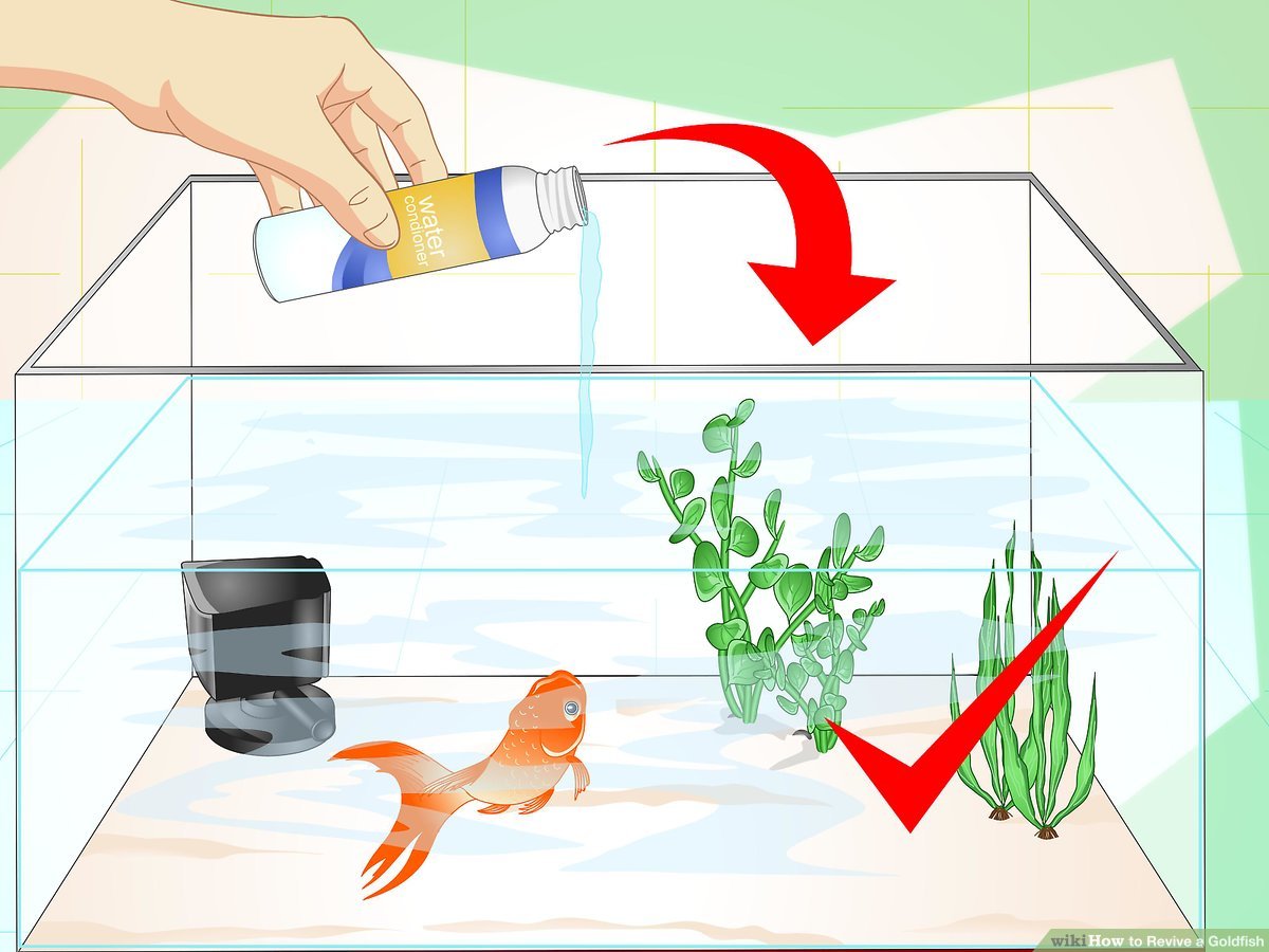 How do you revive a goldfish on its side?