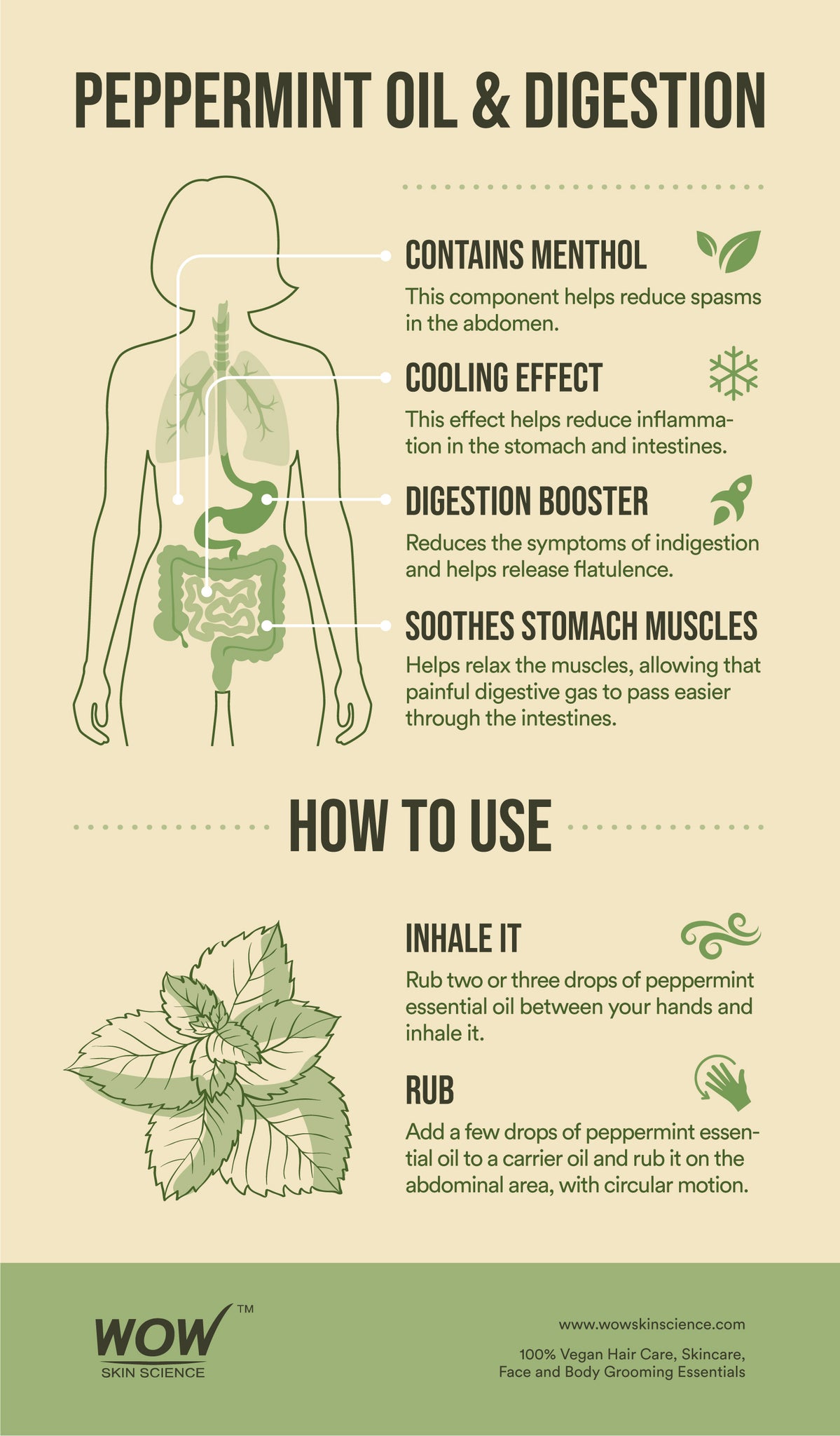 How do you rub peppermint oil on your stomach?