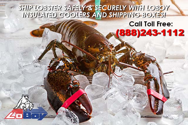 How do you send lobster in the mail?