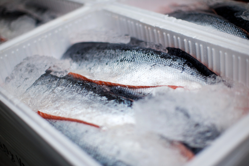 How do you ship frozen fish?