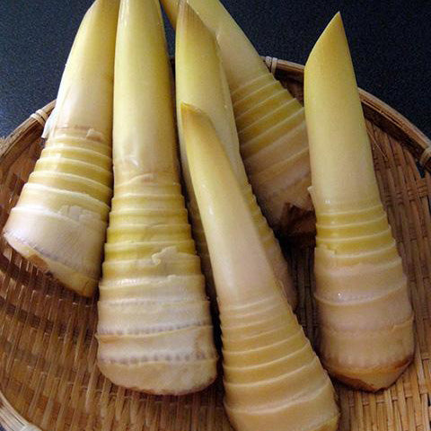 How do you soak bamboo shoots?