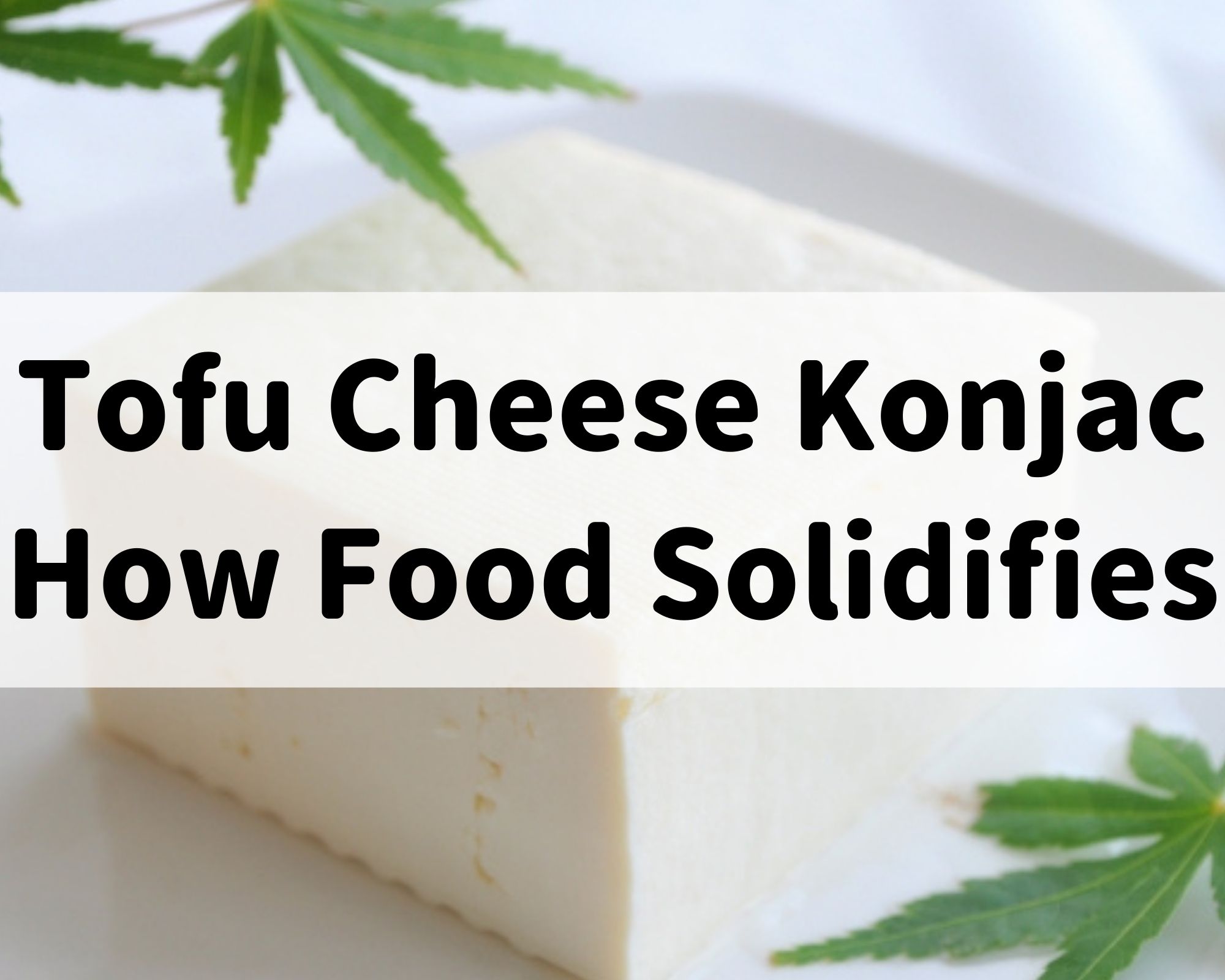 How do you solidify tofu?