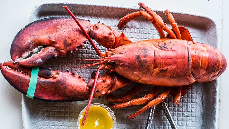 How do you steam the perfect lobster?