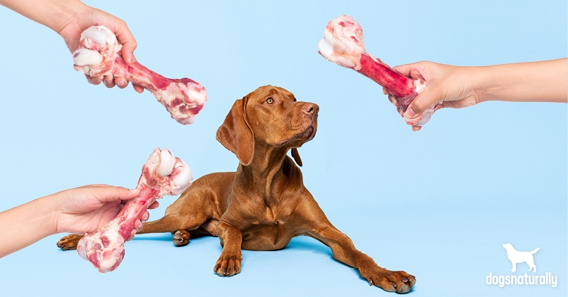 How do you sterilize a dog's bone?