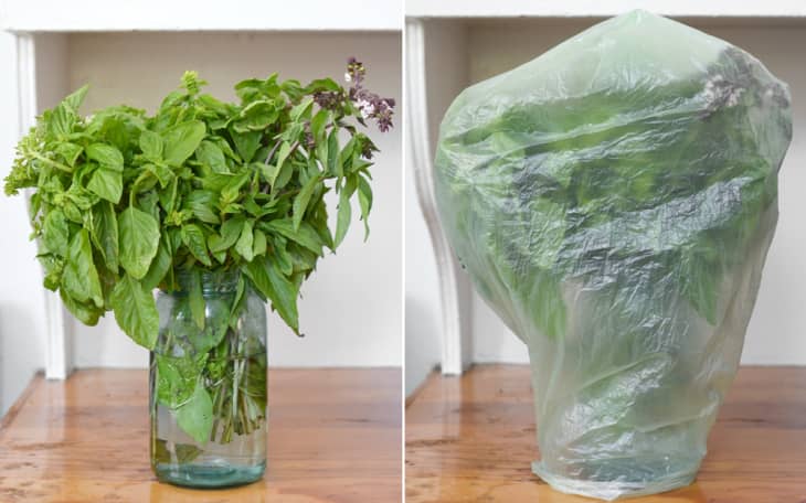 How do you store basil in a plastic bag?