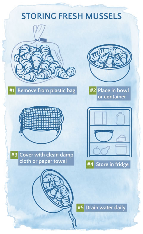 How do you store clams and mussels in the fridge?