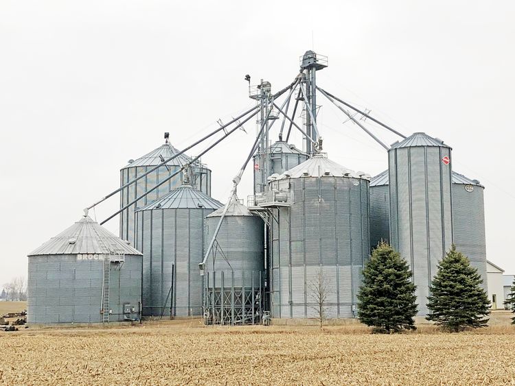 How do you store dried soybeans?