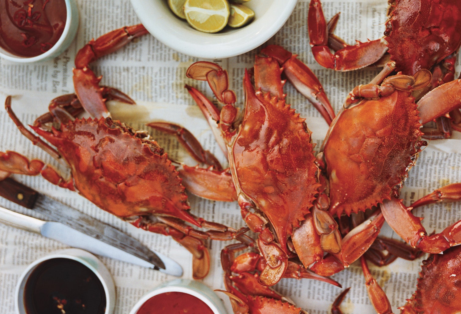 How do you store Dungeness crab?