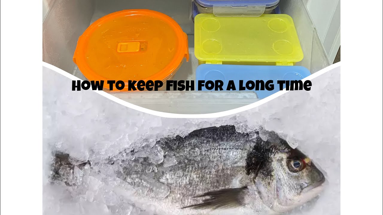 How do you store fish for a long time?