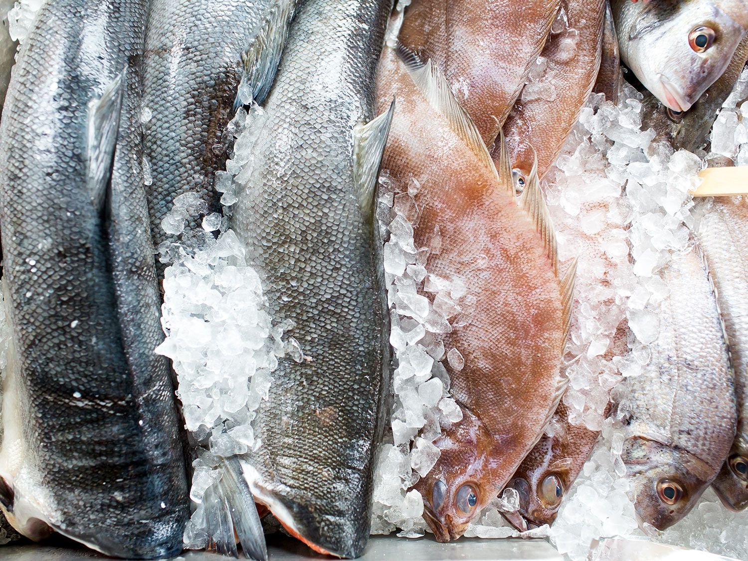 How do you store fish in the refrigerator?