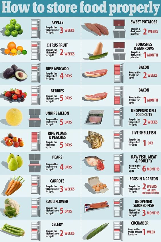 How do you store food for long periods of time?