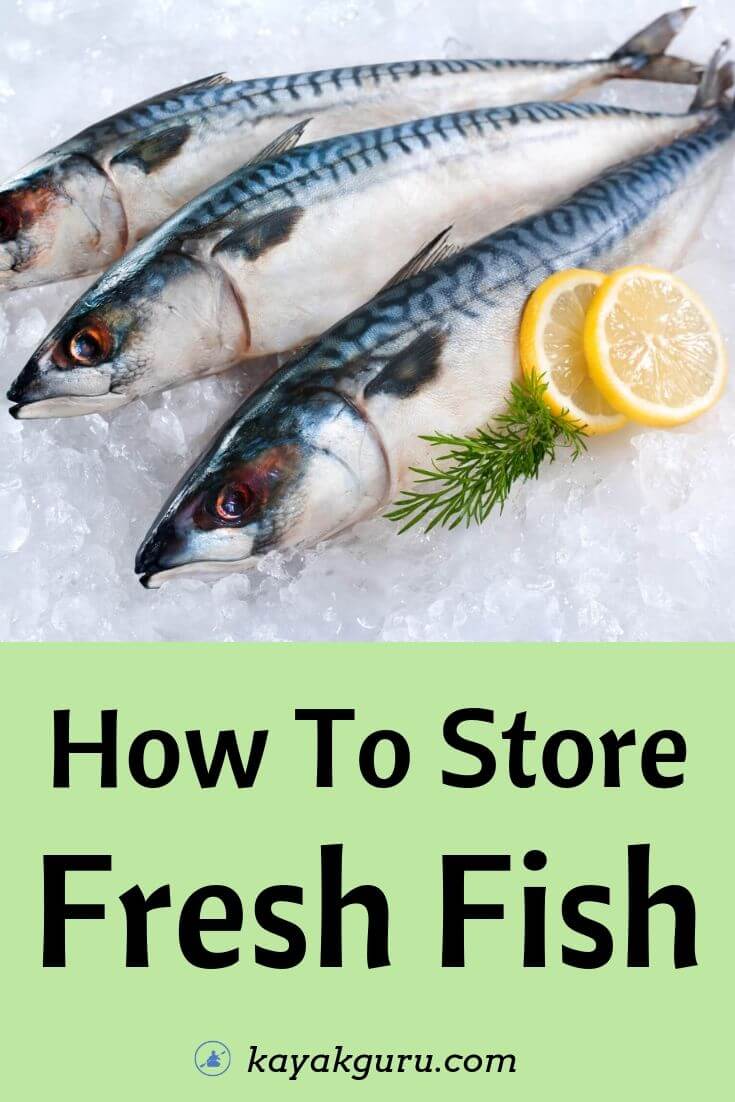 How do you store fresh caught fish in the fridge?