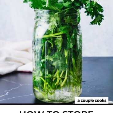 How do you store fresh cilantro?